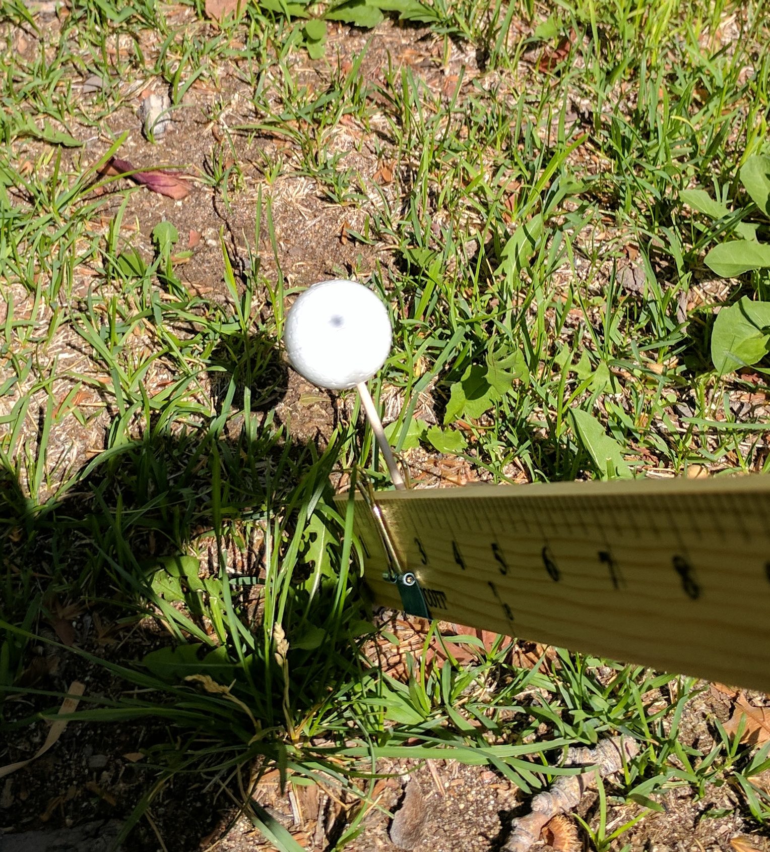 Eclipse Pinhole Viewers A Little Science